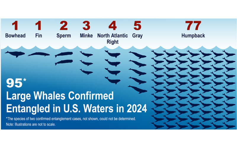 Environment & Sustainability | SeafoodSource