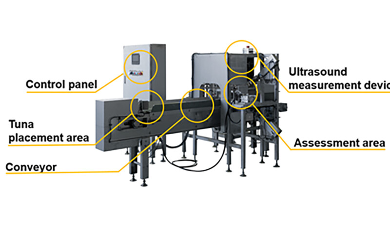 Processing & Equipment | SeafoodSource