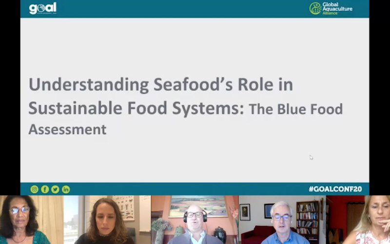 Seafood2030: Global Vision, Regional Strategies | SeafoodSource