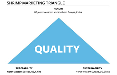 ShrimpTails: Understanding the shrimp consumer | SeafoodSource