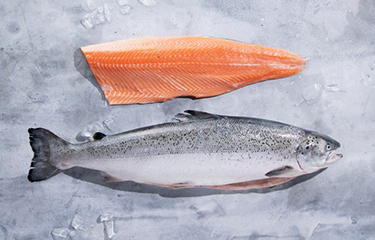 Kvarøy salmon farms obtain BAP certification | SeafoodSource