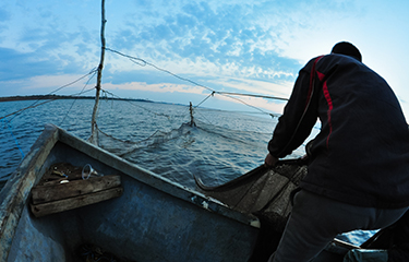Romanian fish farmers receive additional coronavirus support ...
