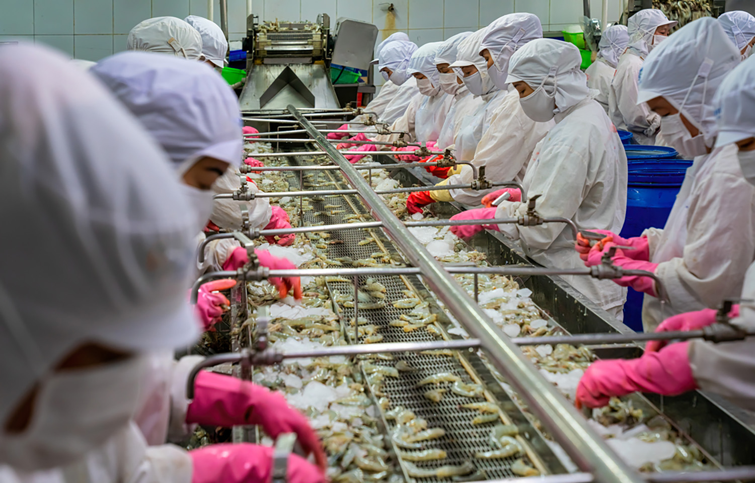 Vietnam on track to surpass ambitious 2024 seafood export target value ...