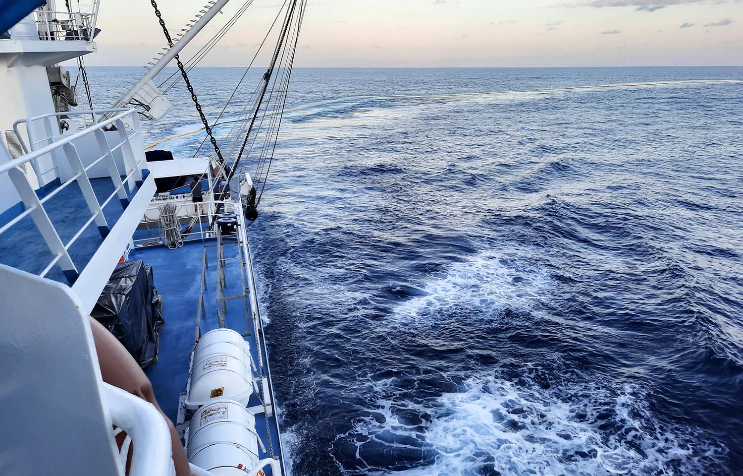 NGOs calling on ICCAT to enact skipjack management procedure, better ...