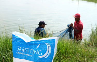 Skretting launches Optiline, new specialty feed for tilapia | SeafoodSource