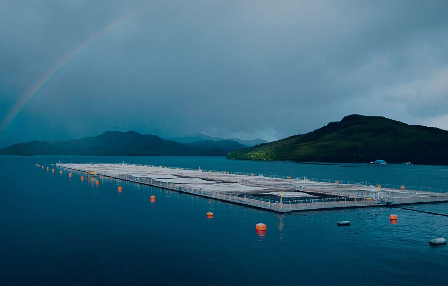 Chilean fishing, salmon-farming firms report strong H1 financial ...