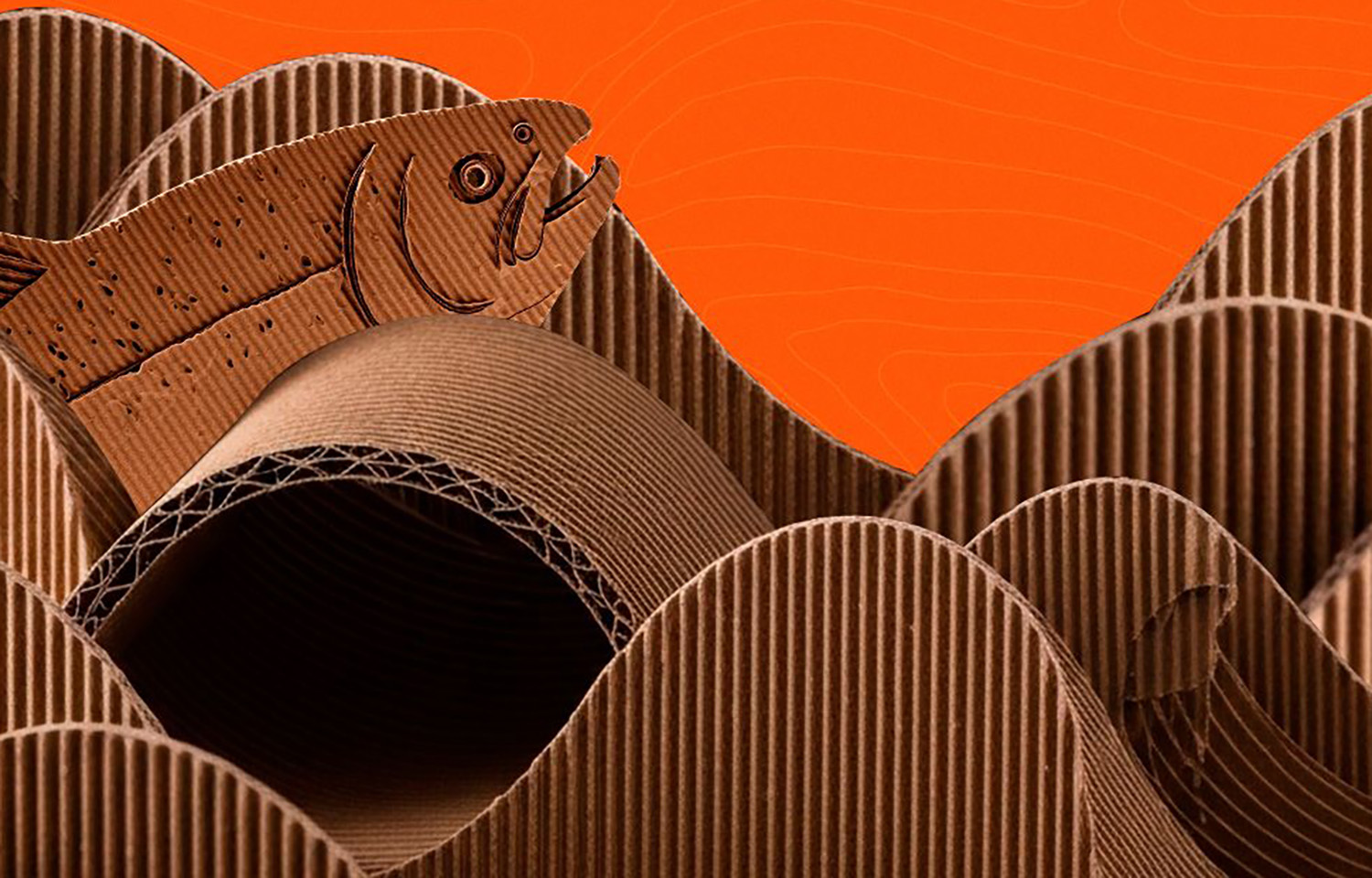 Chilean salmon industry, paper companies partner with MIT to launch ...