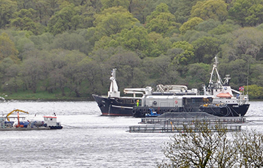 Shuttered Dawnfresh Seafoods processing plant finds buyer | SeafoodSource