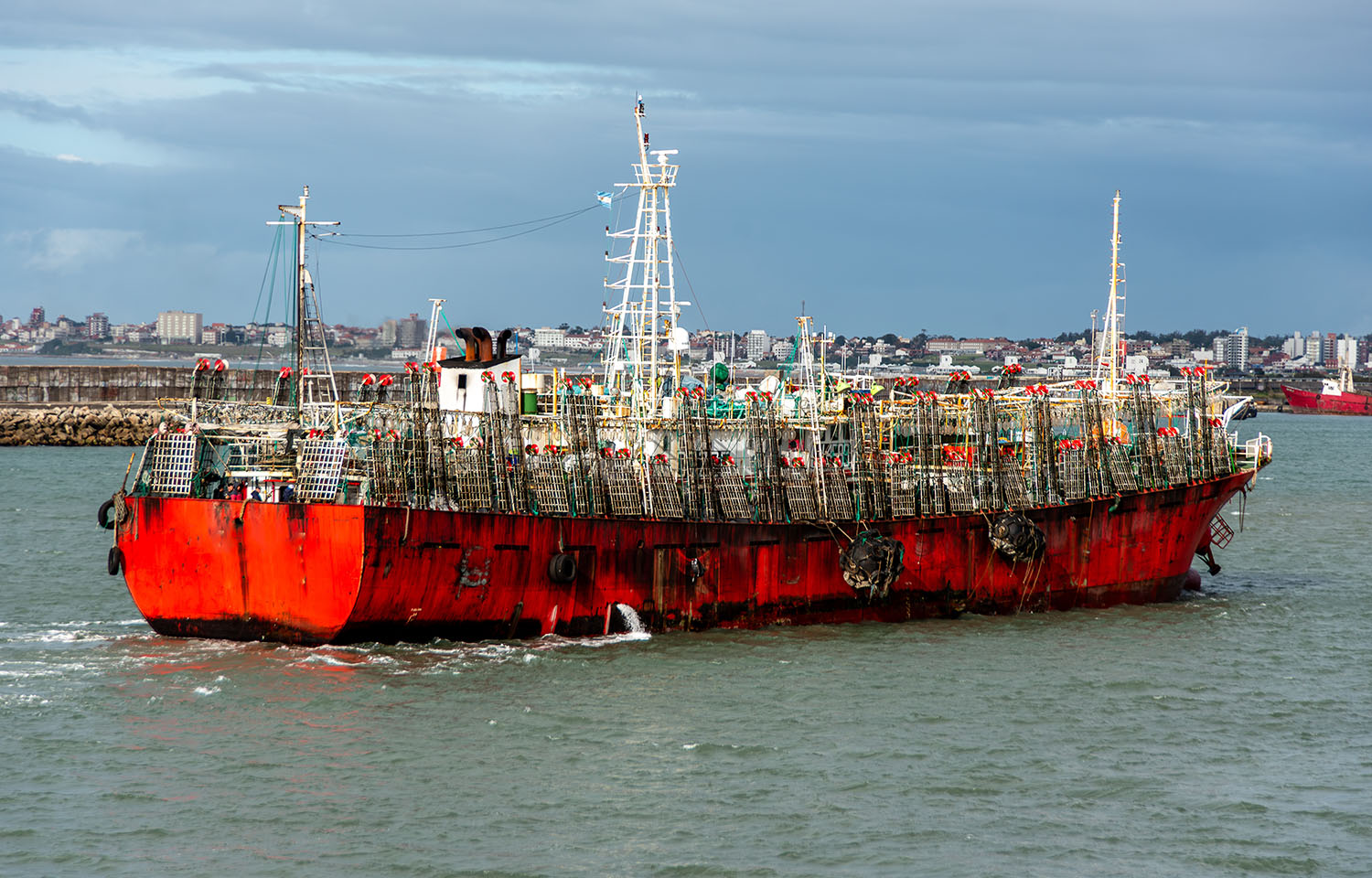 Latest EJF study on Argentine shortfin squid fleet reaffirms connection ...
