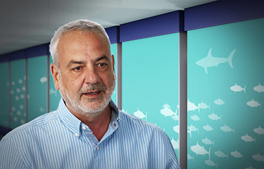 Op-ed: Pacific Ocean tuna fisheries and the new MSC fisheries standard ...