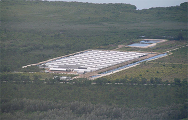 US RAS shrimp farms still “boutique,” but innovations leading to ...