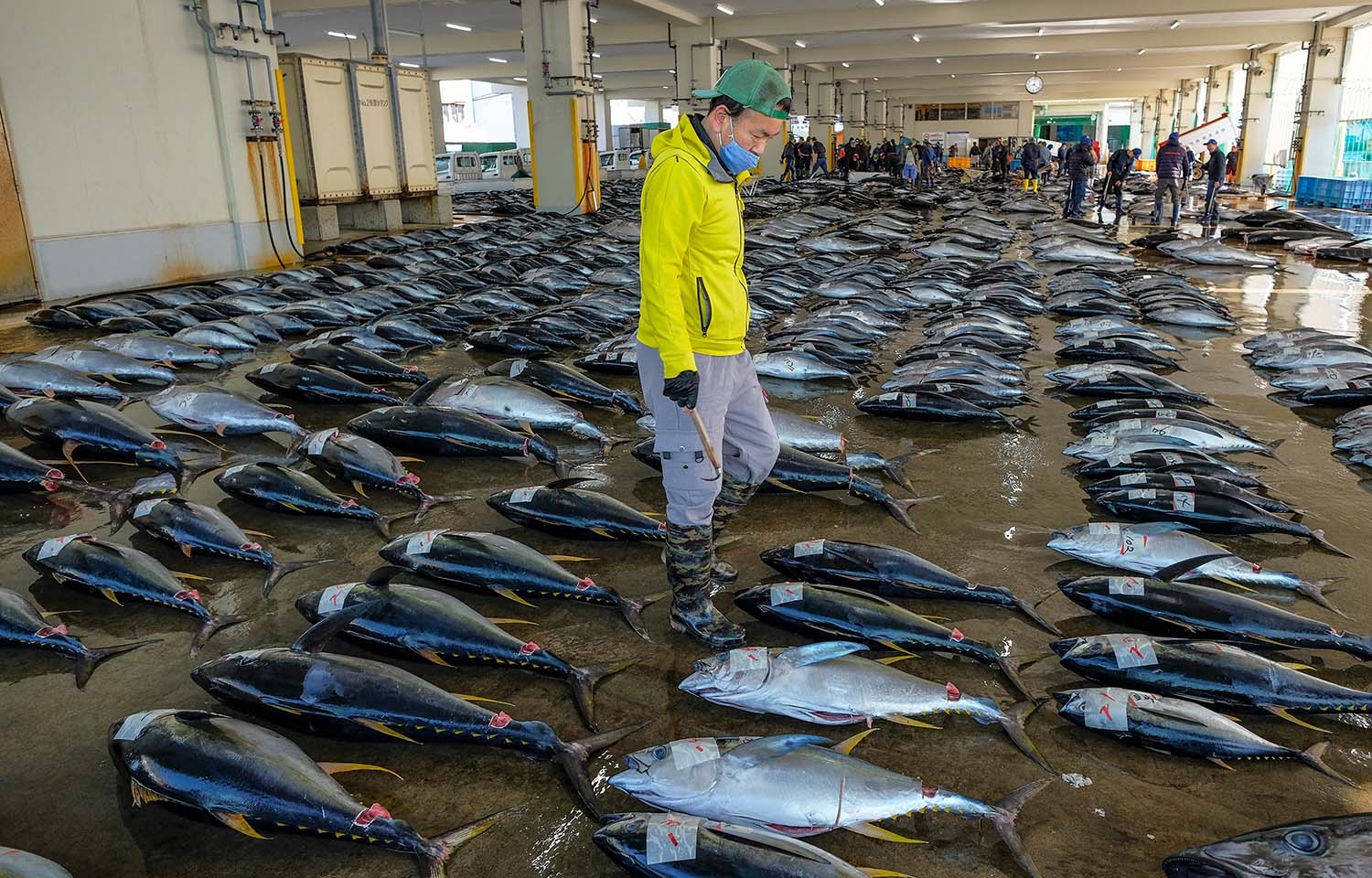 Ending Fukushima-related ban, China agrees to allow Japanese seafood ...