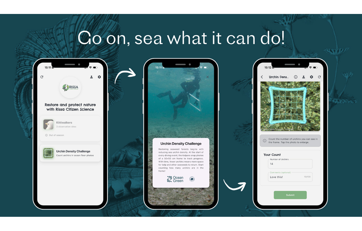 Ava Ocean launches seabed restoration mobile app | SeafoodSource