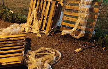 Mazzetta shrimp stolen from truck outside of Lineage Logistics ...