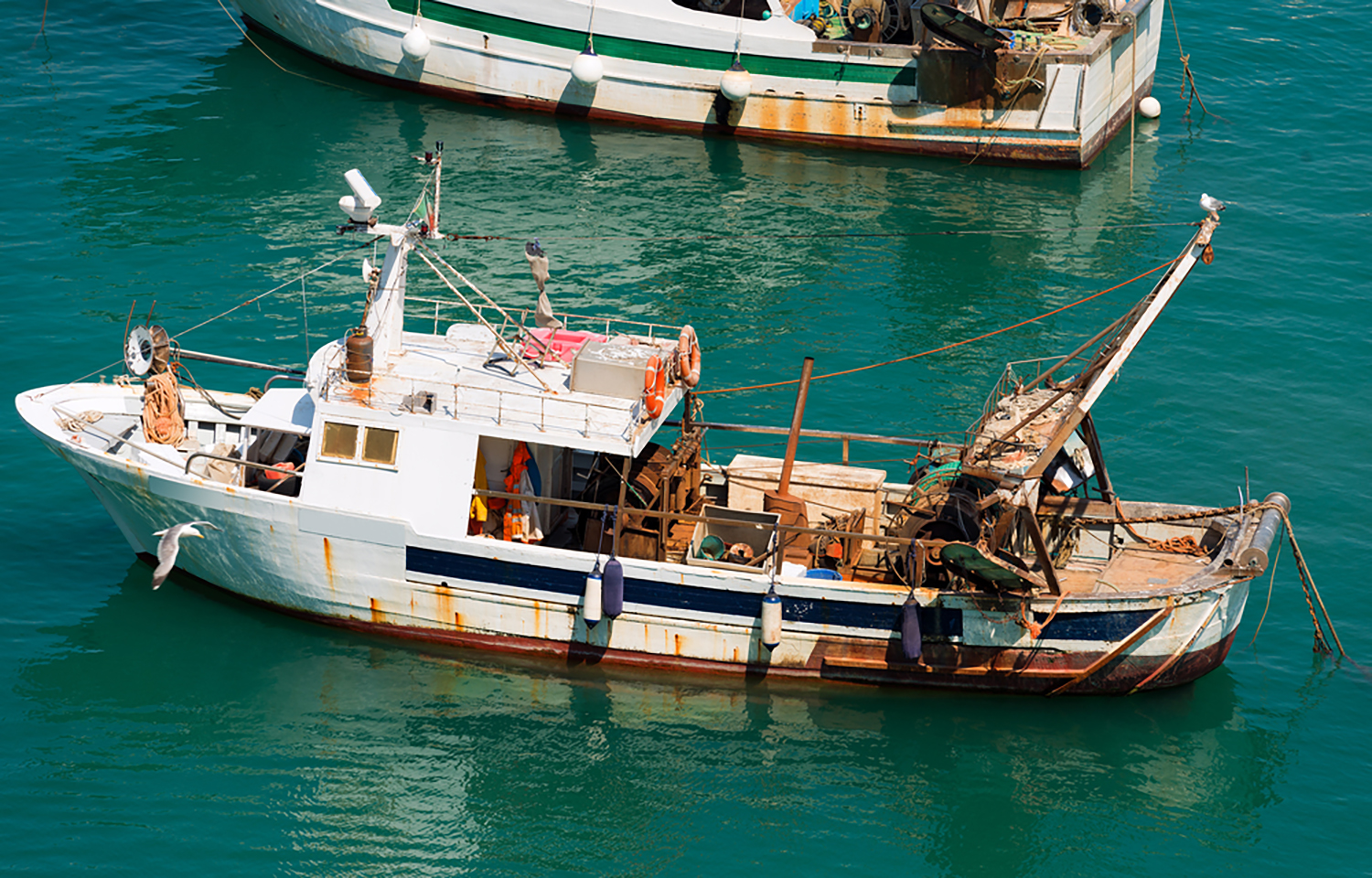 Western Mediterranean bottom trawlers “barely profitable,” according to ...