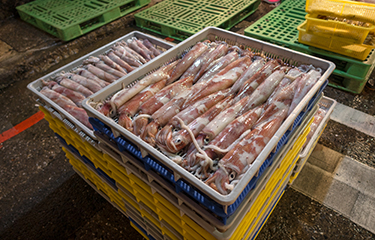 Spoilage rate for China seafood in transit at 10 percent | SeafoodSource