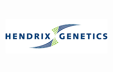 Hendrix Genetics to produce shrimp broodstock in Indonesia | SeafoodSource