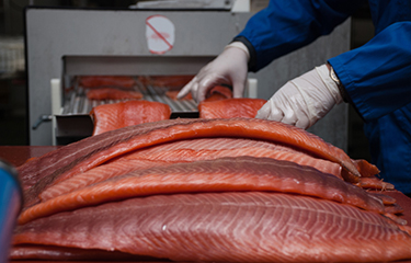 Booming aquaculture industry driving global seafood processing ...