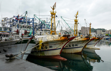Taiwan’s IUU yellow card rescinded by EU following reforms | SeafoodSource