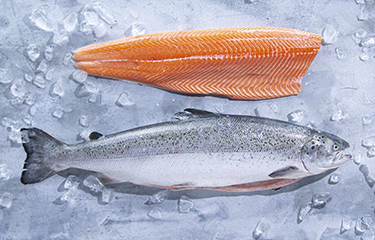 Norway sustainable salmon brand launches in North America | SeafoodSource