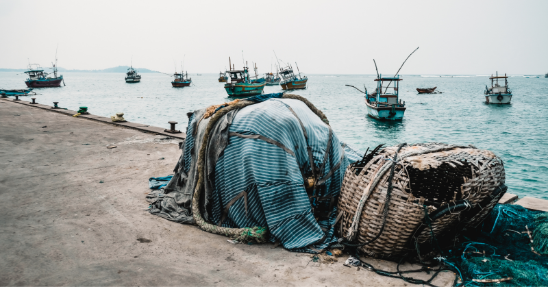 SeafoodSource Presents: Talking ghost gear with Ingrid Giskes ...