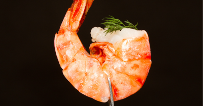 SeafoodSource Presents: Talking shrimp marketing with Miguel Barcenas ...