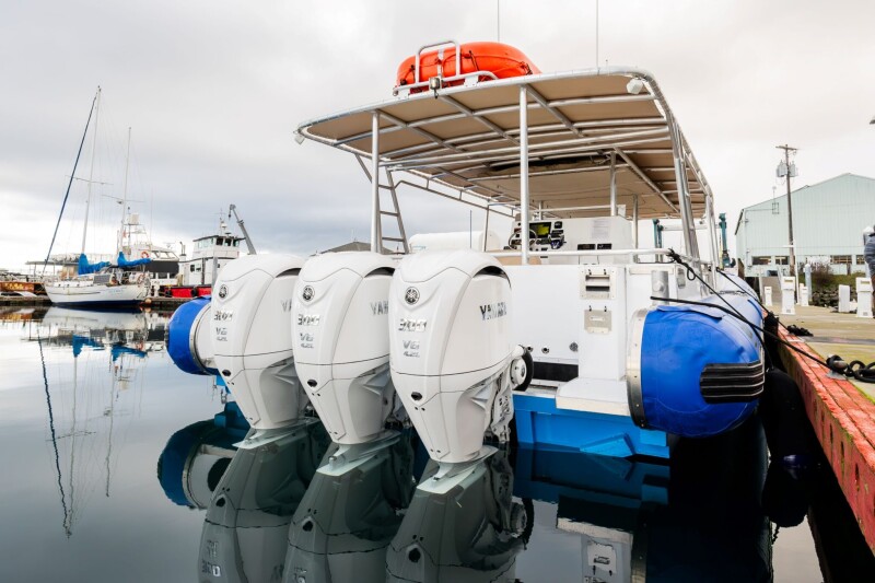 Brix Marine launches custom RHIB for Hawaiian tour operator | WorkBoat