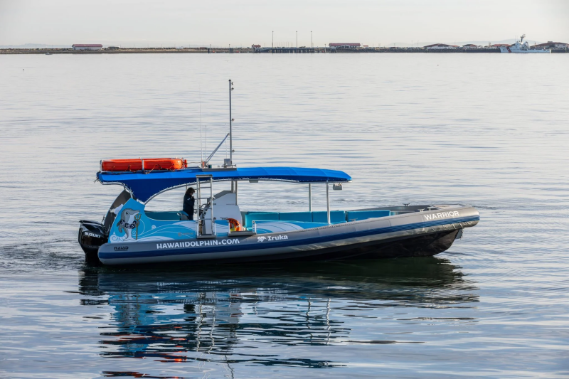 Brix Marine delivers third RIB to Hawaiian tour operator | WorkBoat