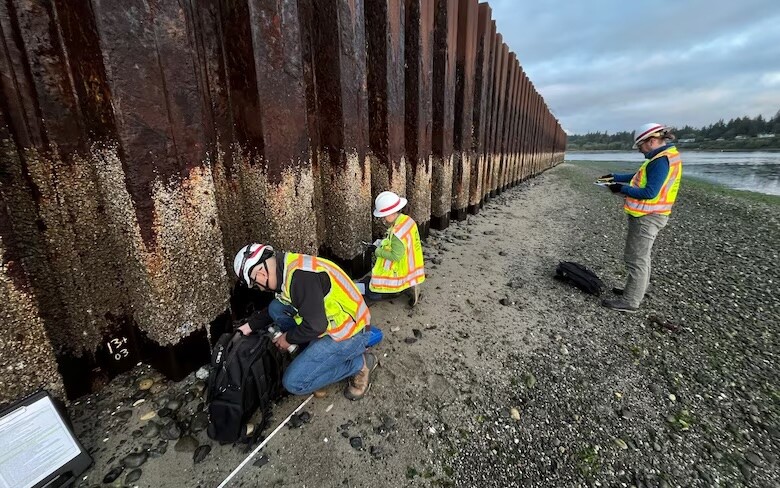 Army Corps Seattle District begins $63 million seawall replacement at ...