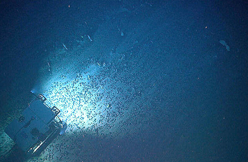 New NOAA rule shortens path to deep seabed mining permits | WorkBoat